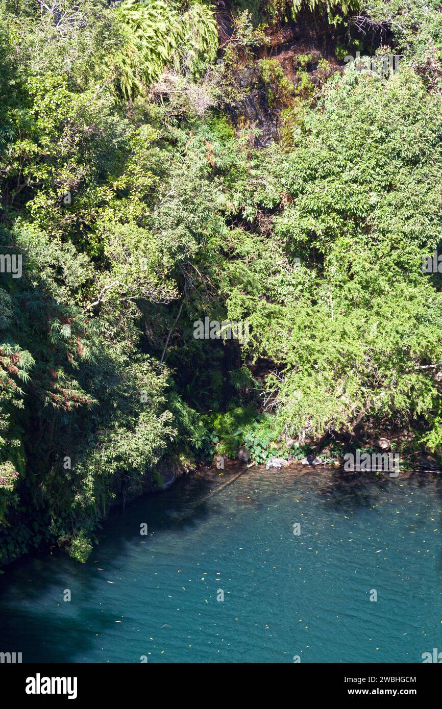 Bassin cormoran hi-res stock photography and images - Alamy
