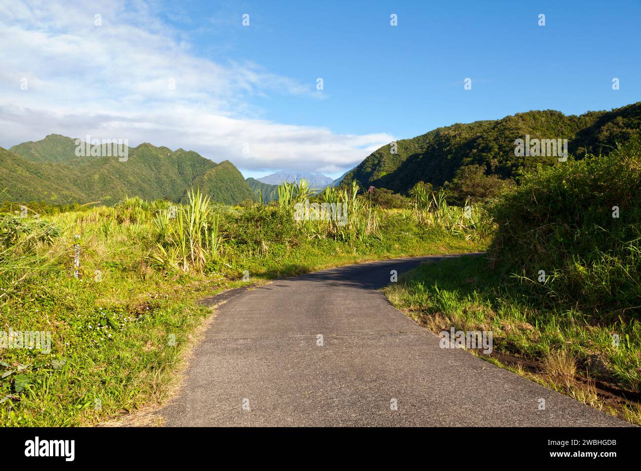 Grand etang road hi-res stock photography and images - Alamy