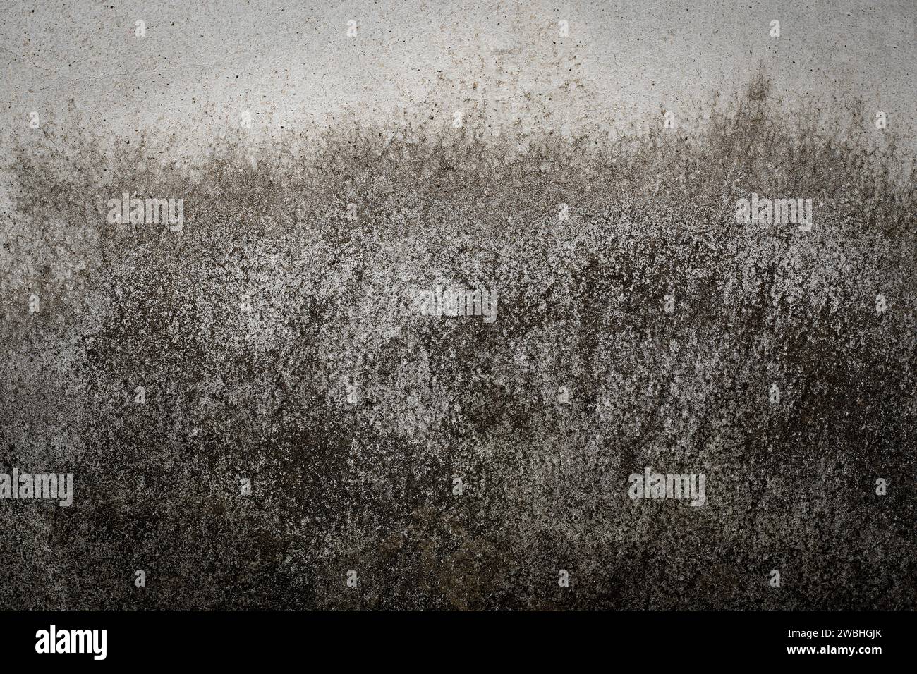 Concrete walls outside the building where black mold occurs Stock Photo ...