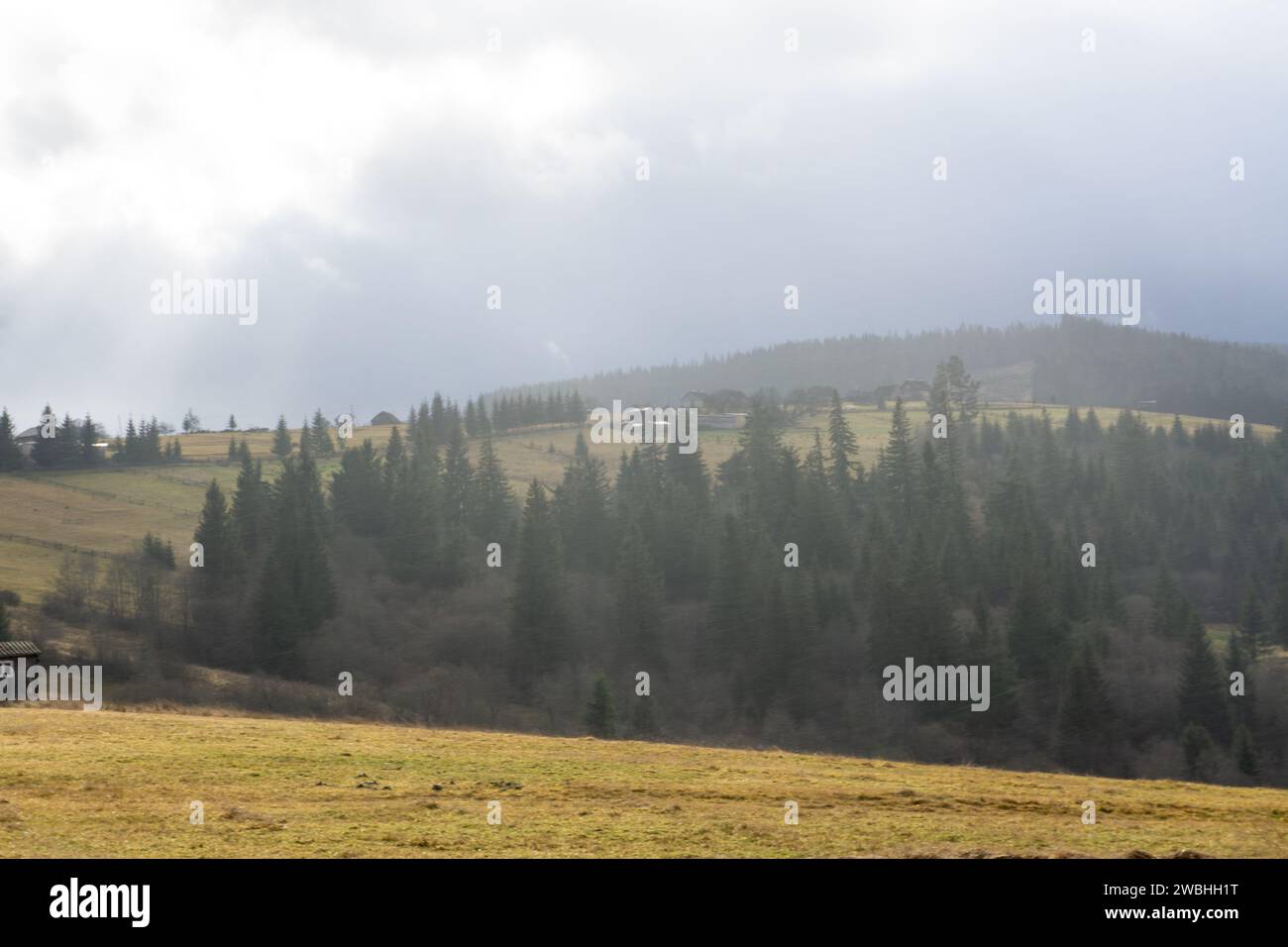 Snowless winter in Carpathian mountain. In nature Stock Photo - Alamy