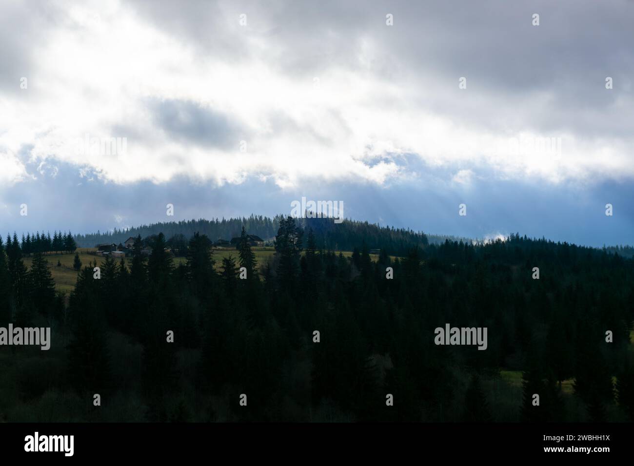 Snowless winter in Carpathian mountain. In nature Stock Photo - Alamy