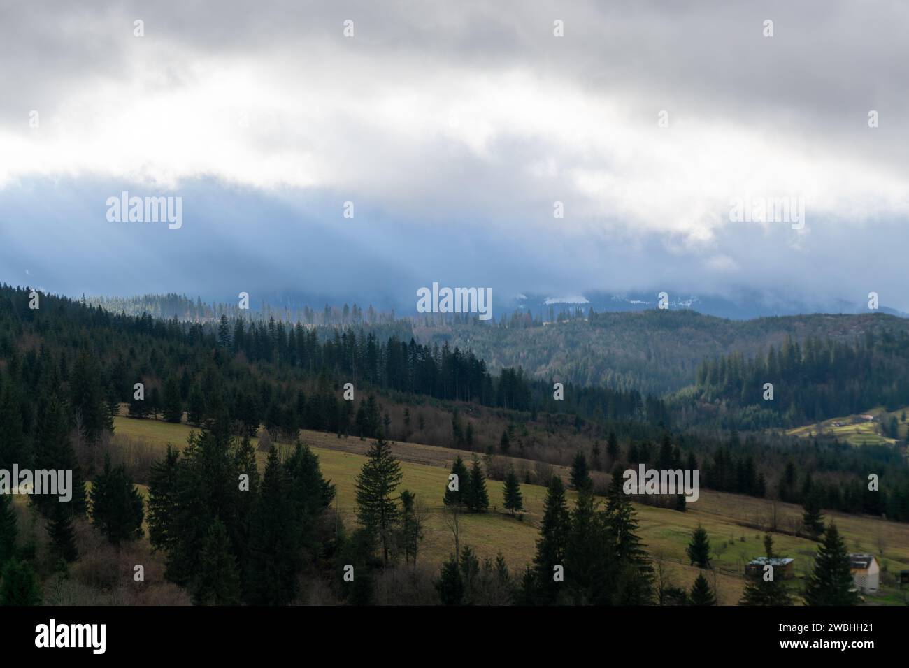 Snowless winter in Carpathian mountain. In nature Stock Photo - Alamy