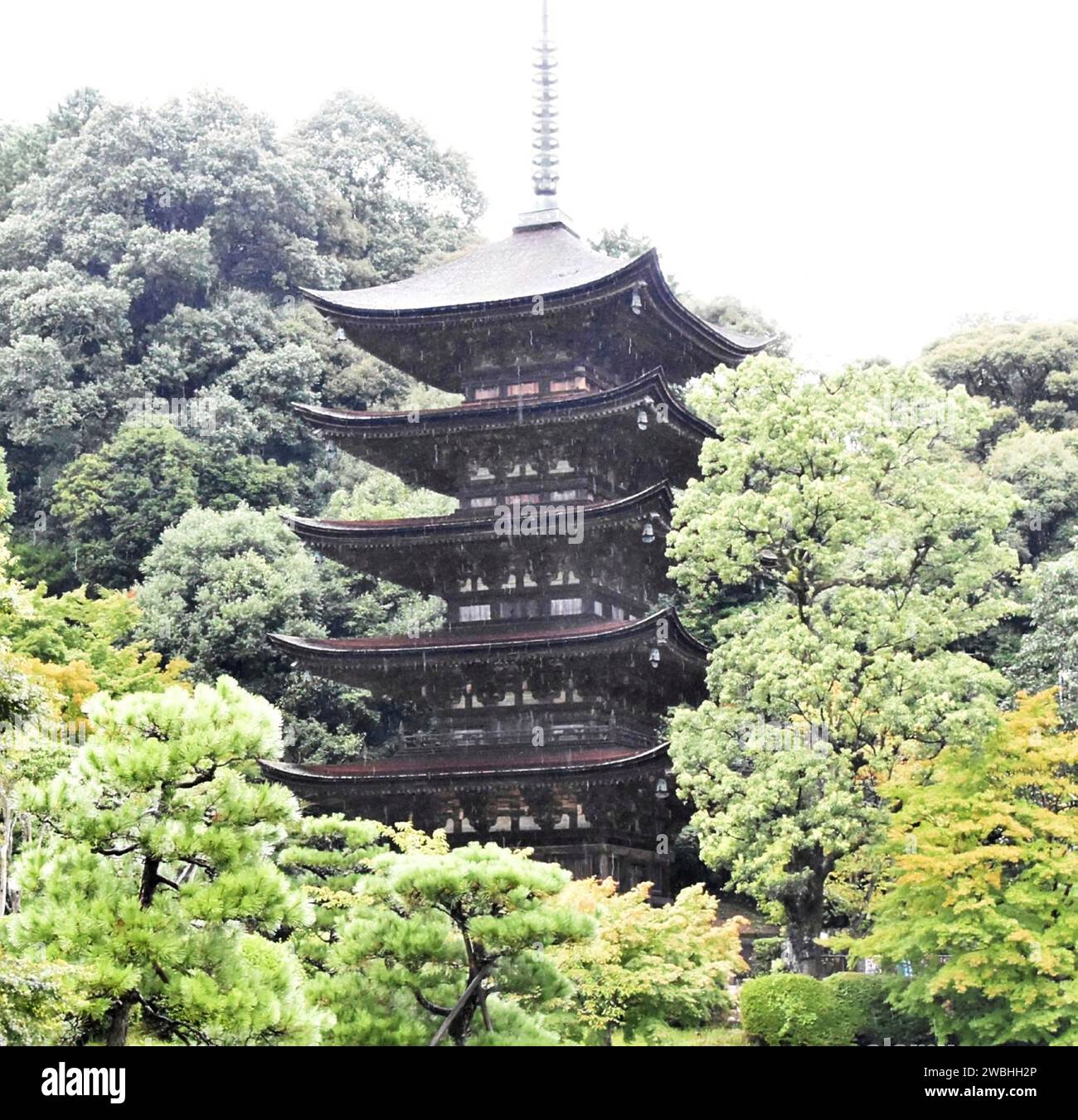 FILE: A photo shows the five-story pagoda of Ruriko-ji temple in ...