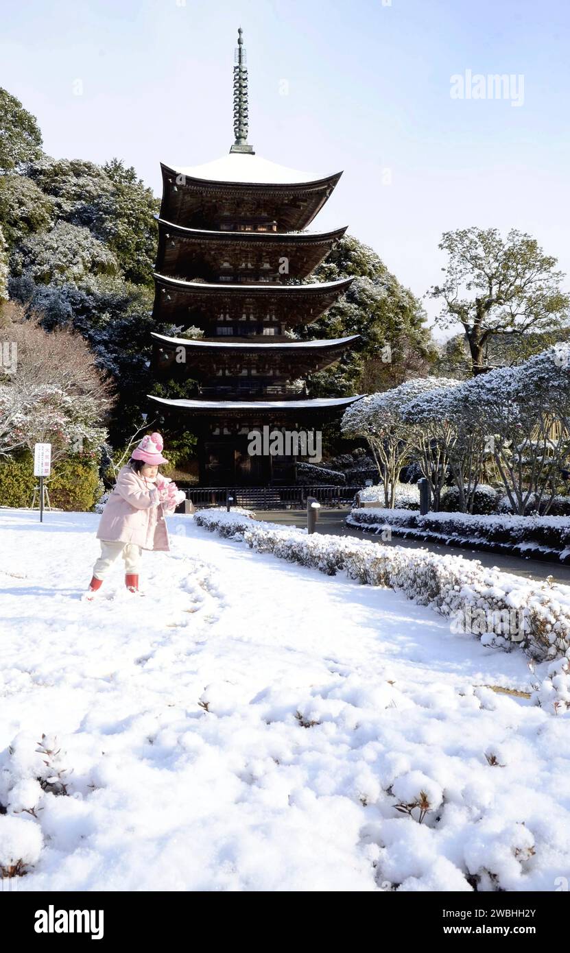 FILE: A photo shows the five-story pagoda of Ruriko-ji temple in ...