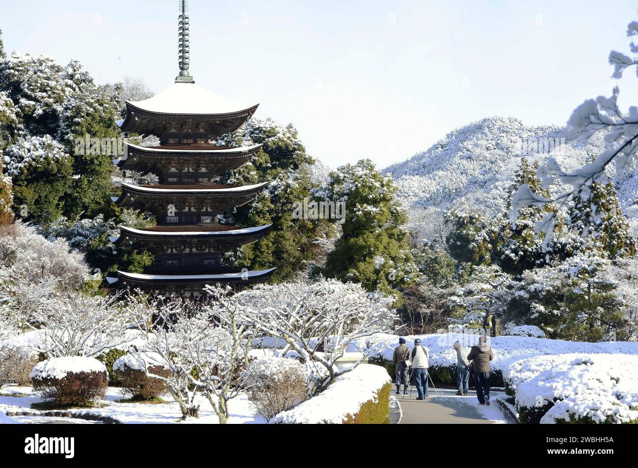 FILE: A photo shows the five-story pagoda of Ruriko-ji temple in ...