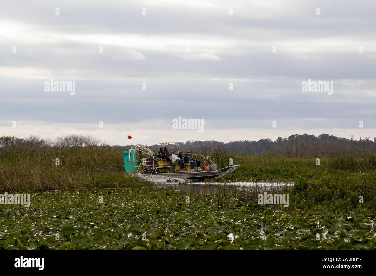 An airboat on Lake Tohopekaliga in Florida, USA Stock Photo - Alamy