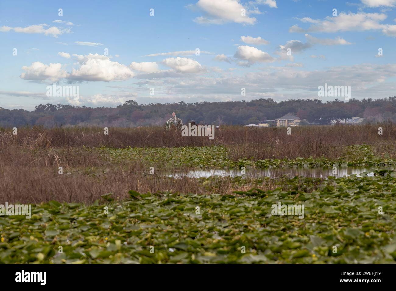 An airboat on Lake Tohopekaliga in Florida, USA Stock Photo - Alamy