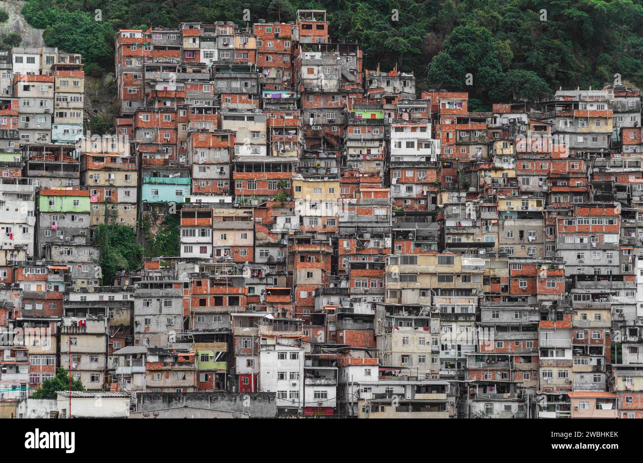 Colorful Favela on Steep Hillside Overlooking Brazilian Jungle Stock ...