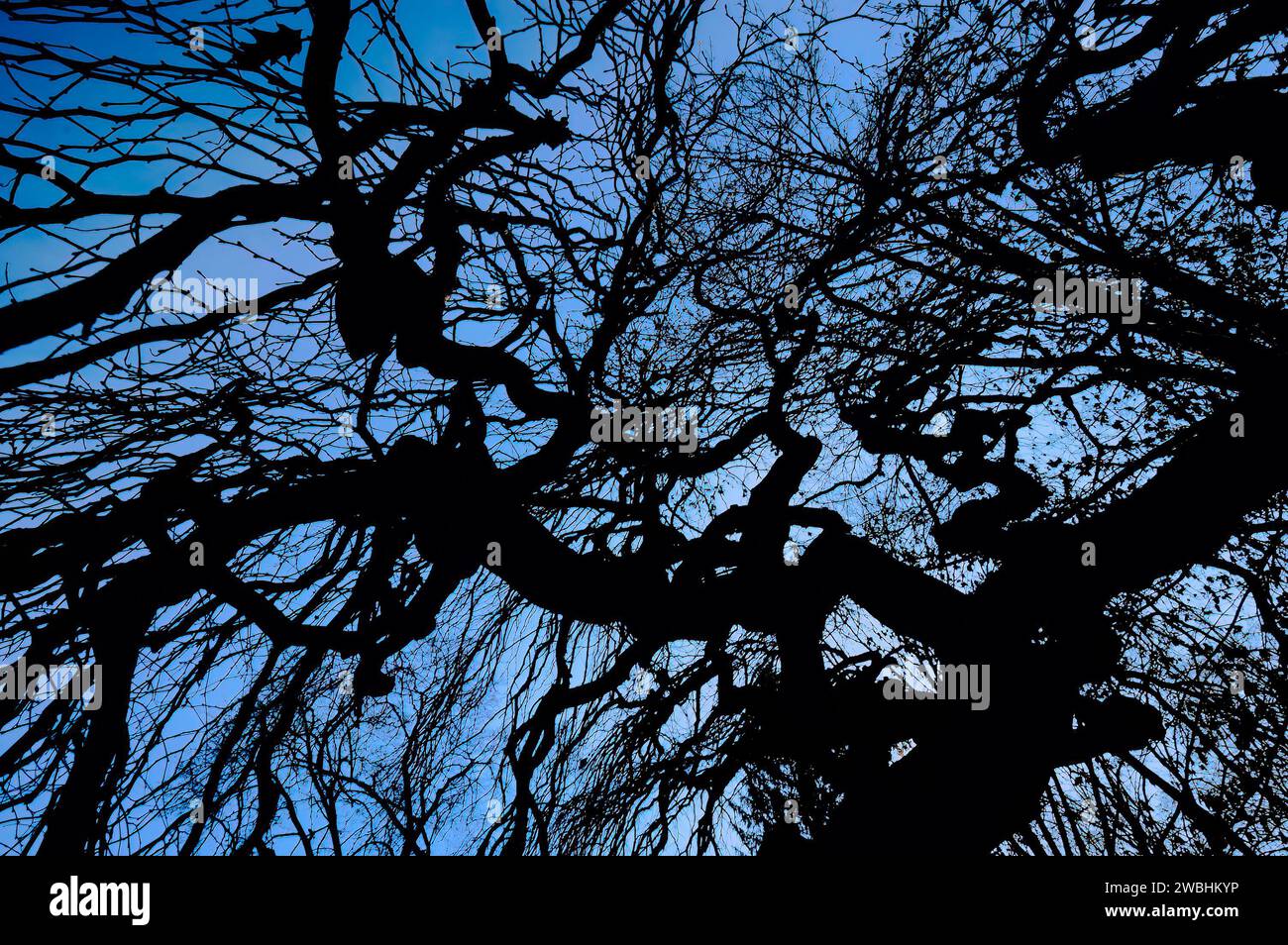 Spine tingling texture hi-res stock photography and images - Alamy