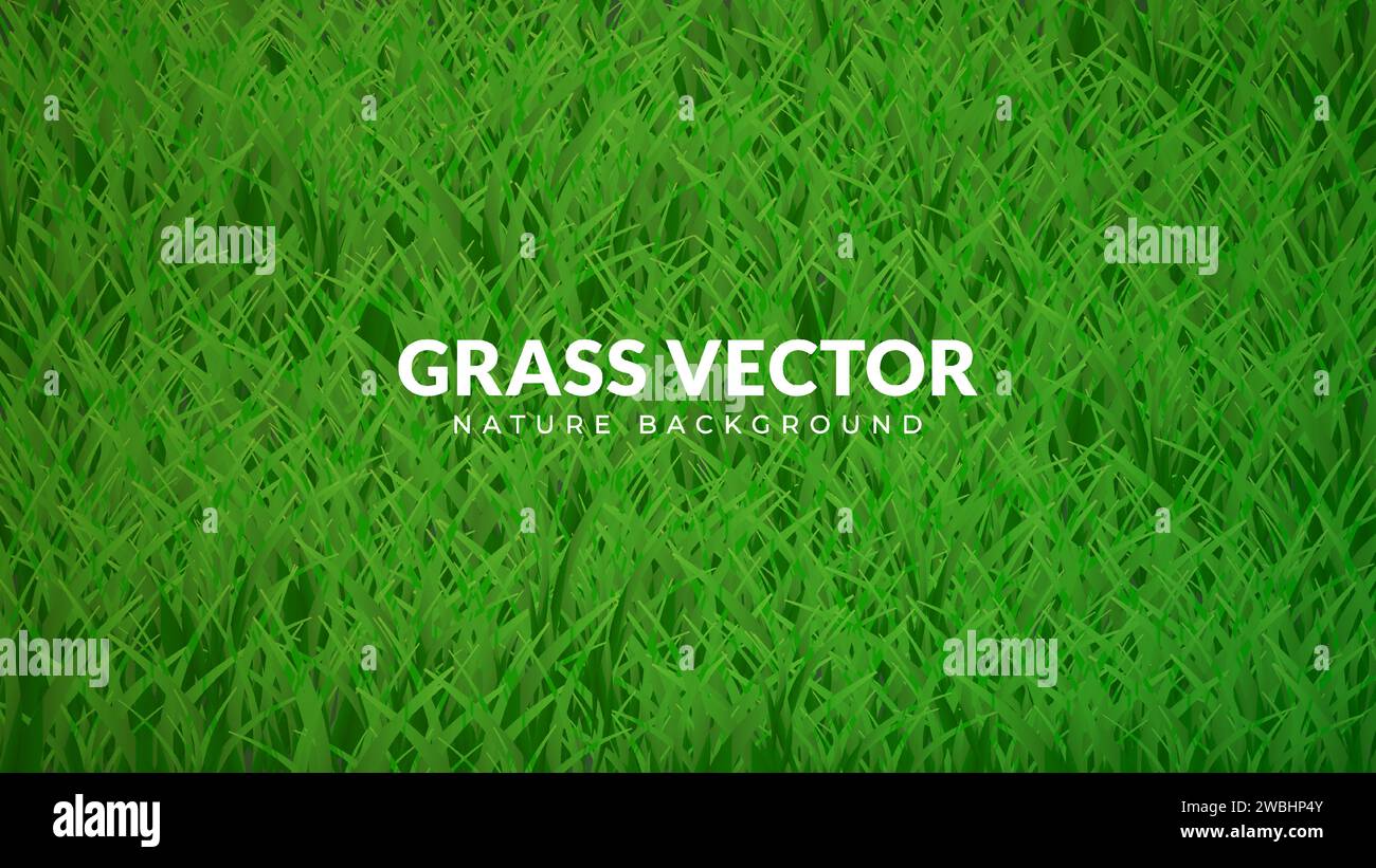 Green grass background texture. Eps file vector design Stock Vector ...