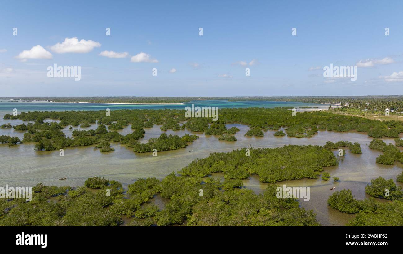An aerial view of Mangroove in Palma District in Cabo Delgado ...