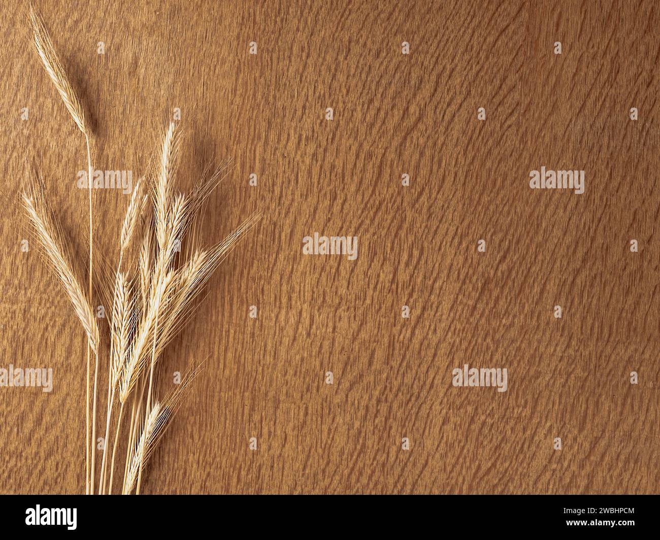 Vintage barley hi-res stock photography and images - Alamy