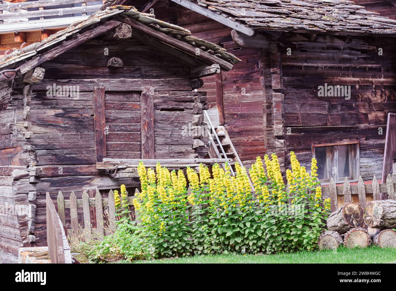 The rustic charm of the Swiss countryside (Zermatt, Visp, Valais ...