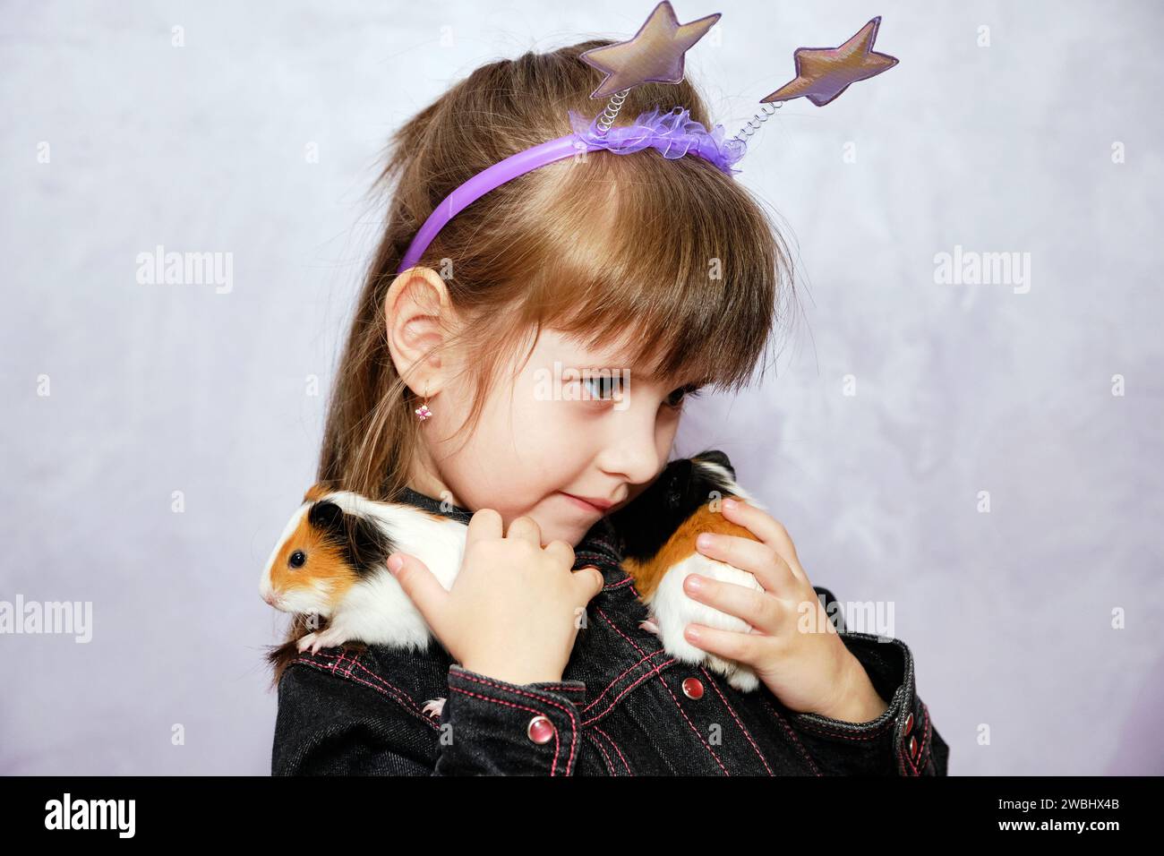 A cute girl of preschool age hugs two kids guinea pig. Child holding ...