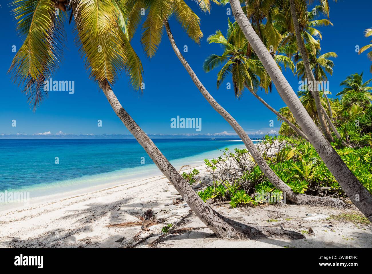 Tropical island banner hi-res stock photography and images - Alamy