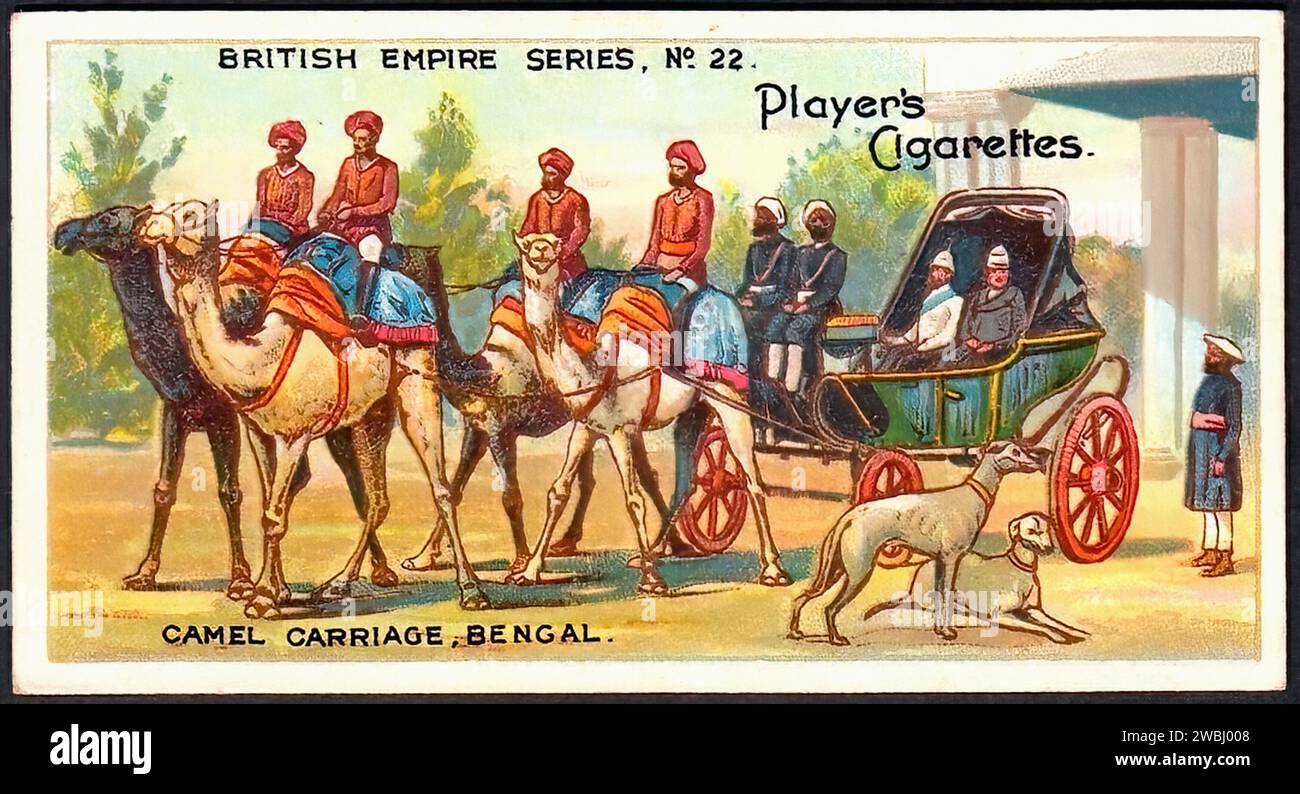 Camel carriage hi-res stock photography and images - Alamy