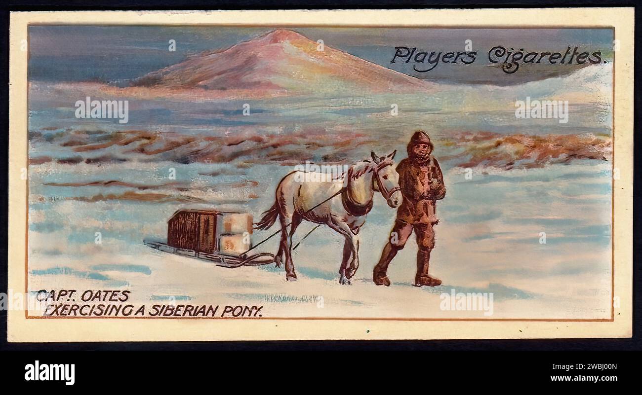 Captain Oates and Siberian Pony - Vintage Cigarette Card Illustration ...