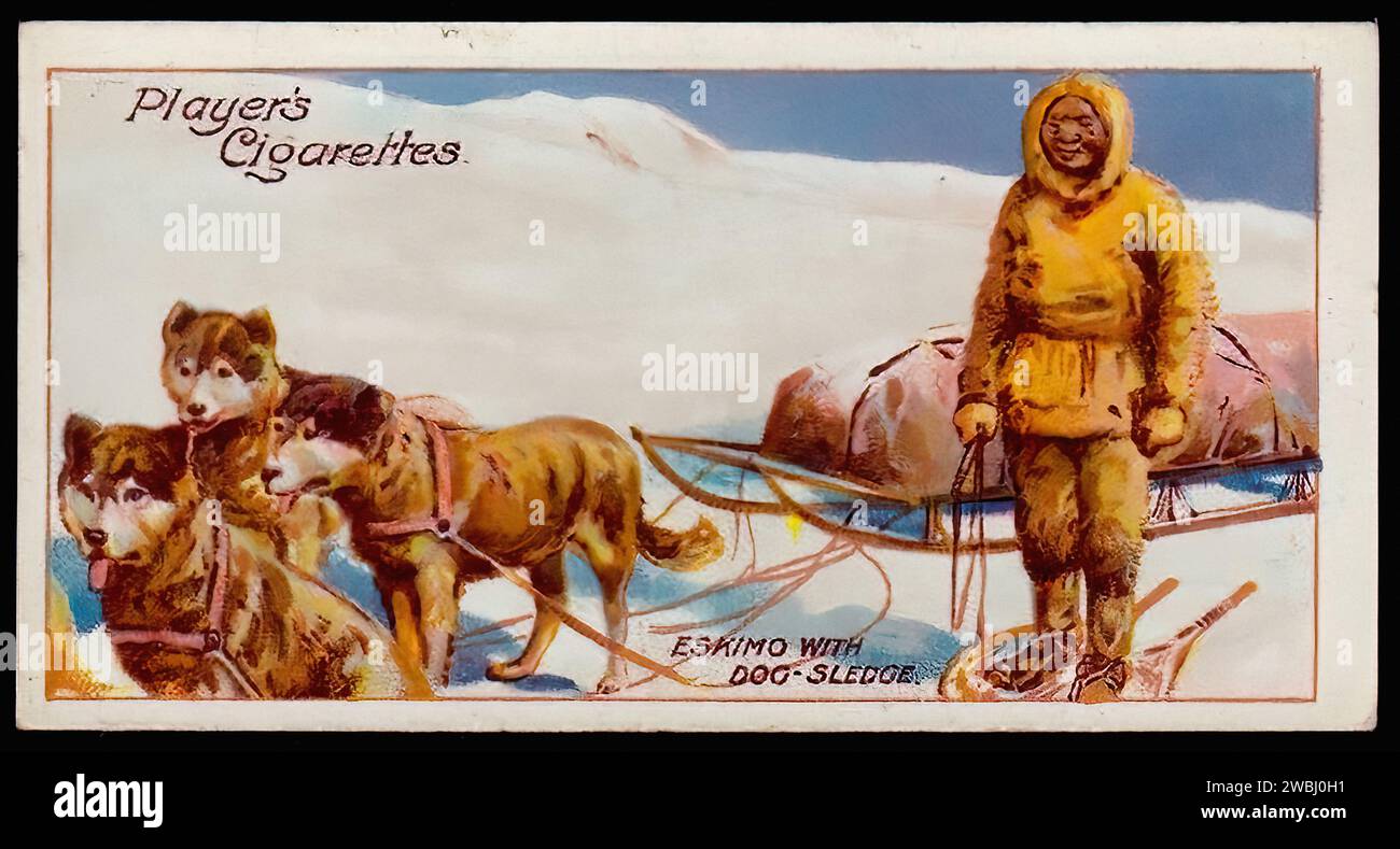 Eskimo With Dog Sledge - Vintage Cigarette Card Illustration Stock ...