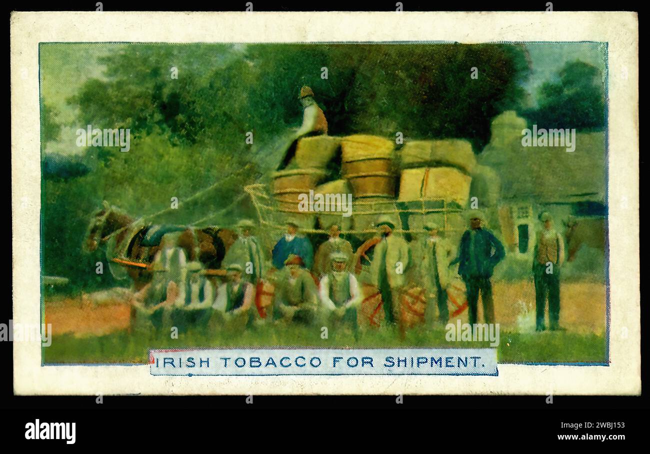 Irish Tobacco - Vintage Cigarette Card Illustration Stock Photo - Alamy