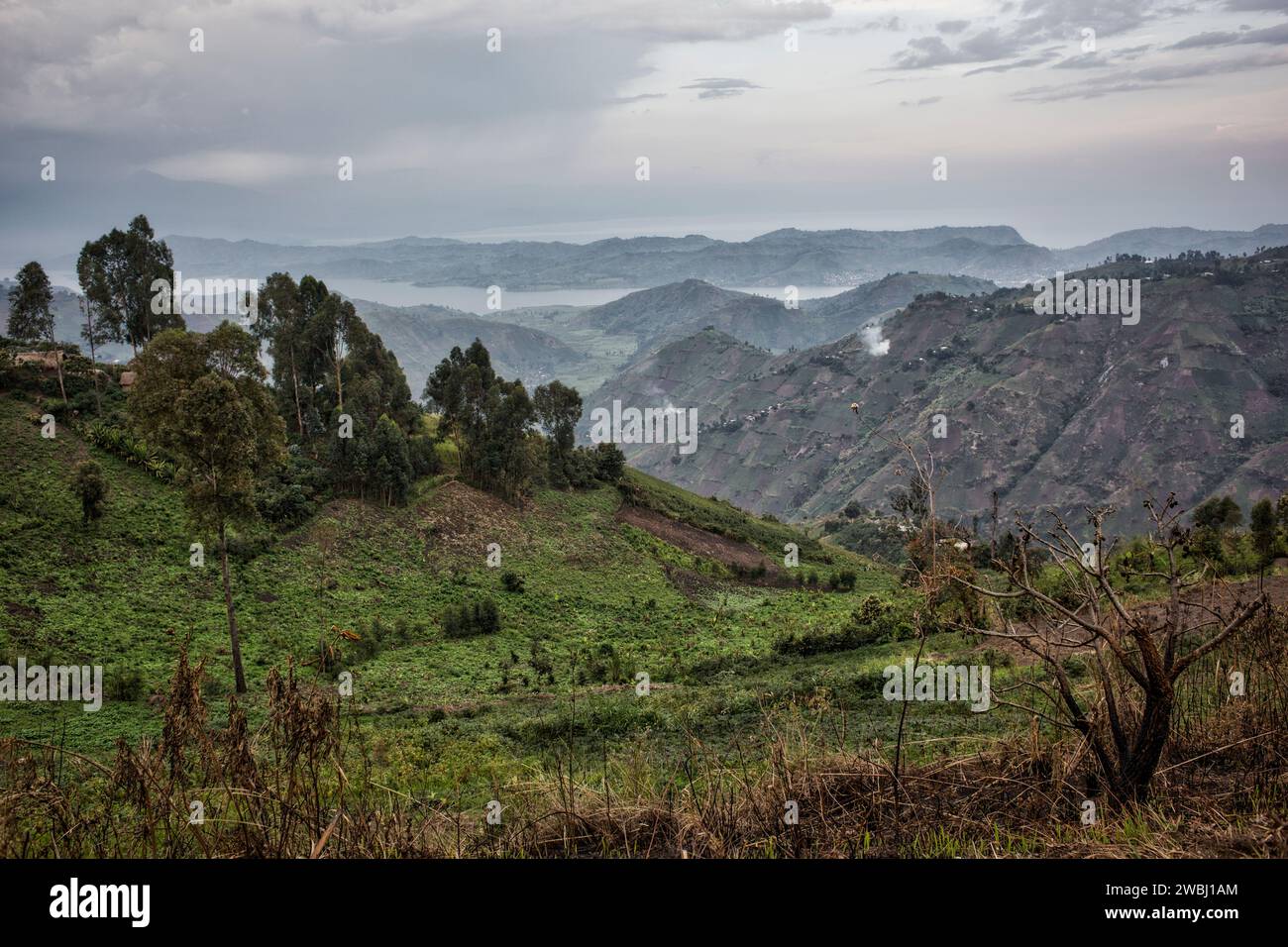 Daily life on masisi mountains hi-res stock photography and images - Alamy