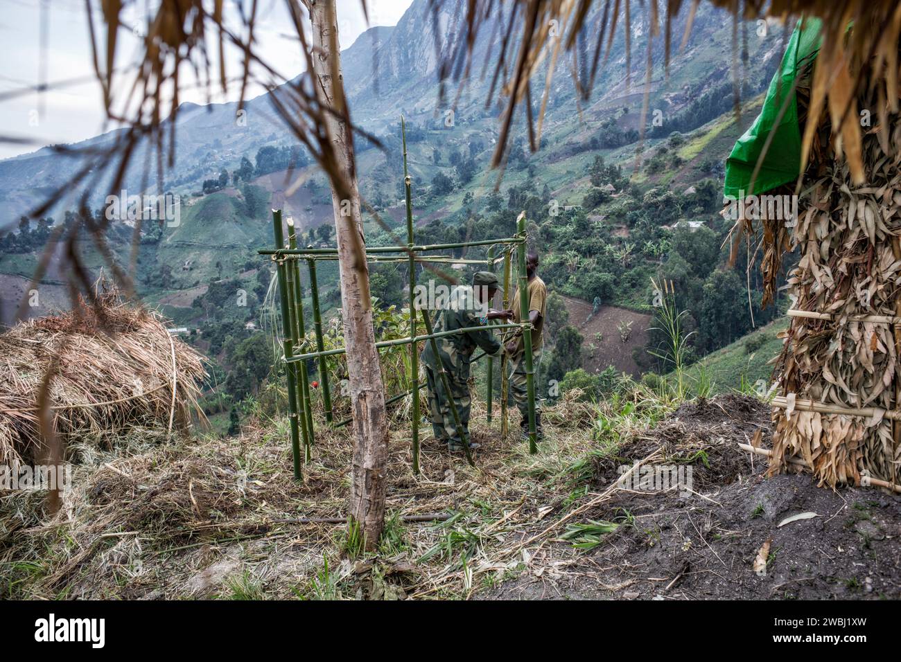 Mayi mayi camp hi-res stock photography and images - Alamy