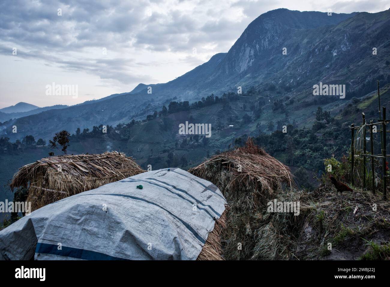 Daily life on masisi mountains hi-res stock photography and images - Alamy