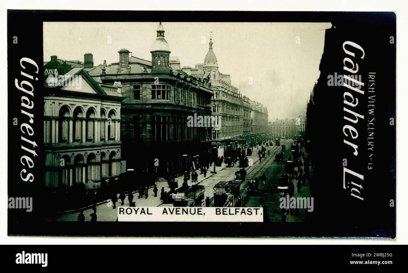 Royal Avenue Belfast in 1910 - Vintage Cigarette Card Illustration ...
