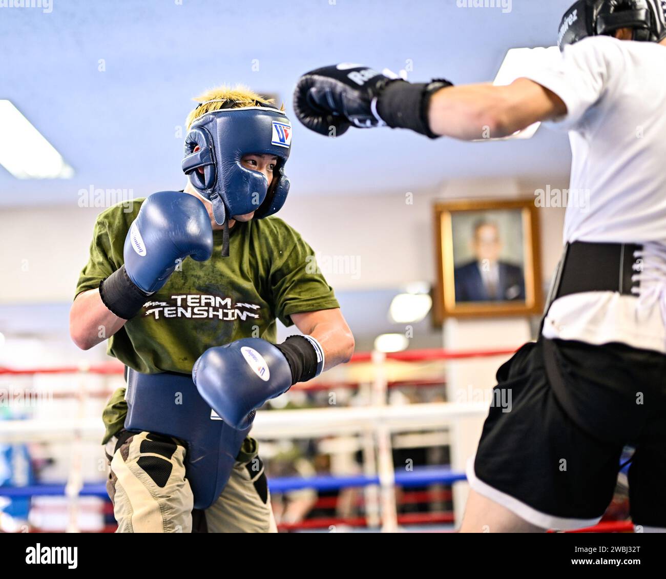 Tenshin nasukawa hi-res stock photography and images - Alamy