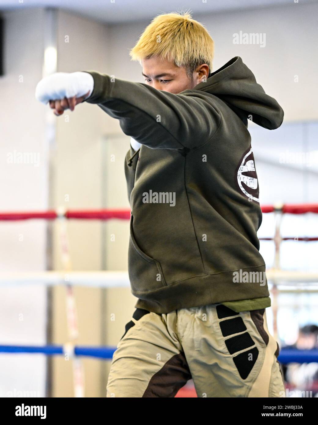 Tenshin nasukawa hi-res stock photography and images - Alamy
