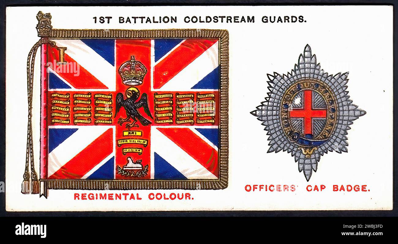 1st Battalion, Coldstream Guards - Vintage Cigarette Card Illustration ...