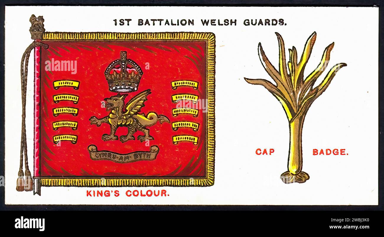 1st Battalion, Welsh Guards - Vintage Cigarette Card Illustration Stock ...