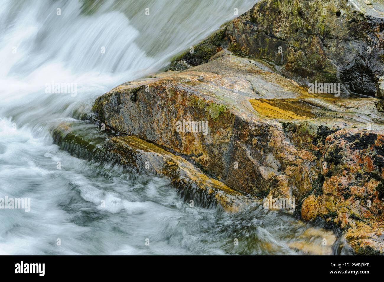 A close-up of clear, rushing water flowing smoothly over vibrant, mossy ...
