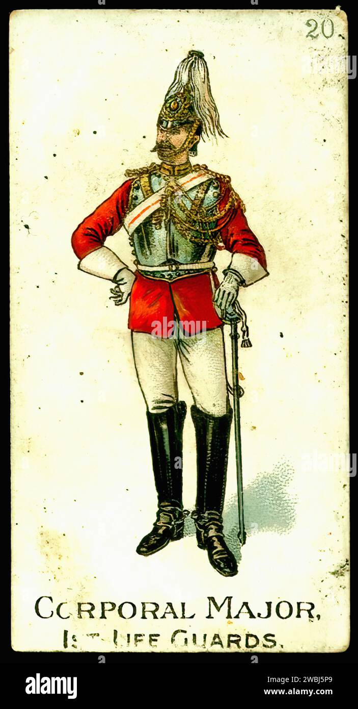 Corporal-Major, 1st Life Guards - Vintage Cigarette Card Illustration ...