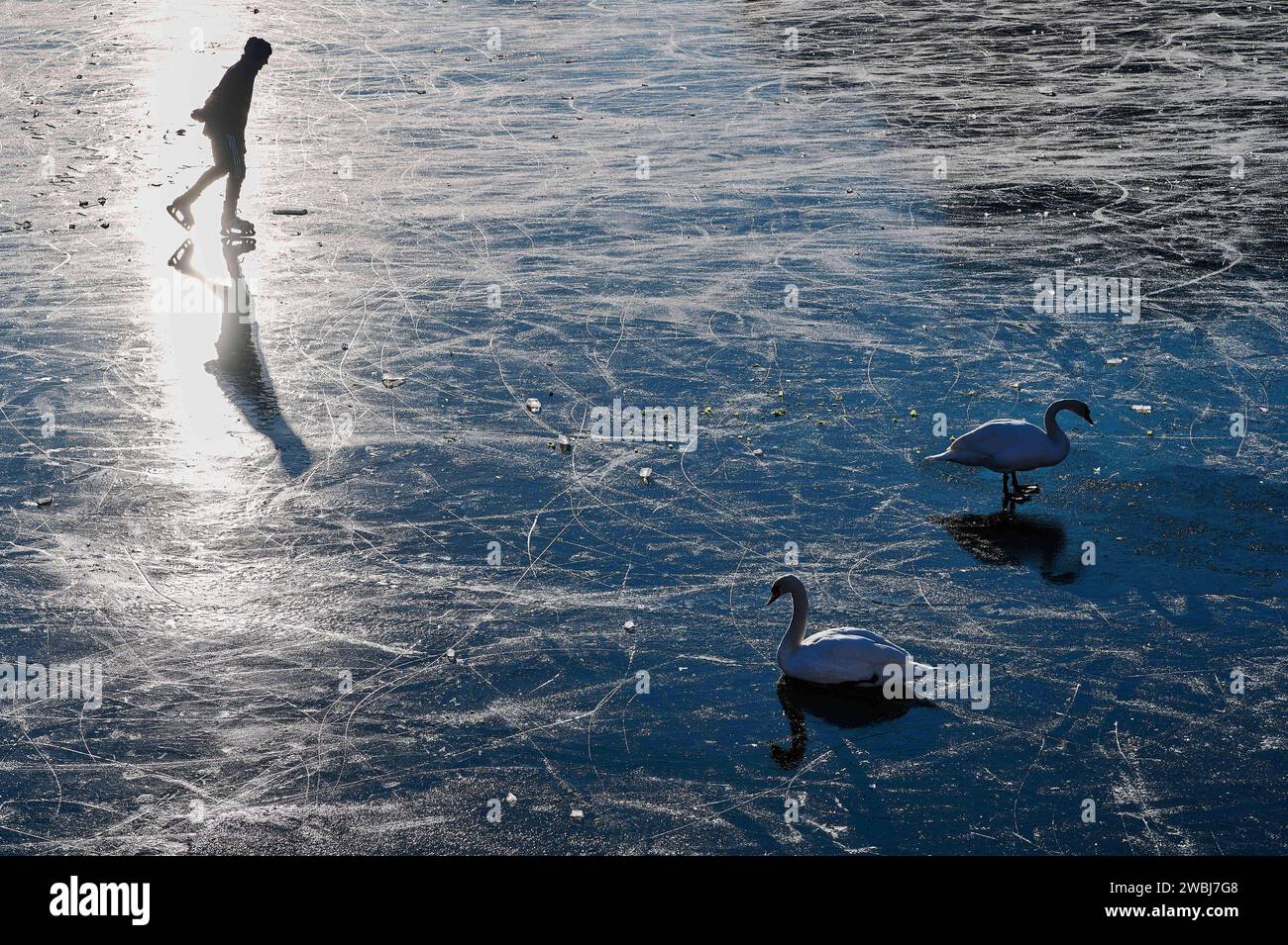 Kaltes Winterwetter in Berlin. Menschen laufen auf dem zugefrorenen ...