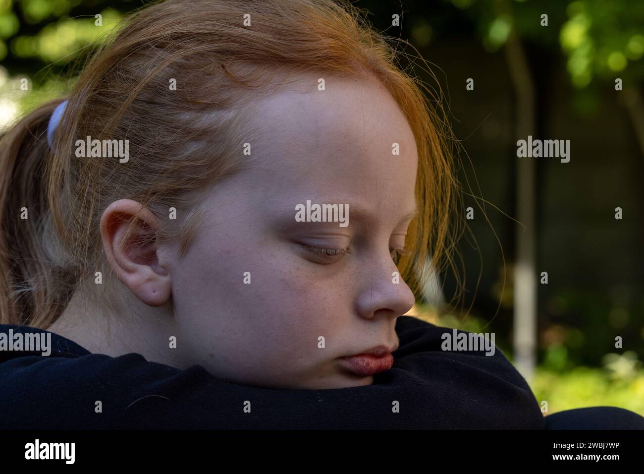 Backdrop features soft greenery hi-res stock photography and images - Alamy