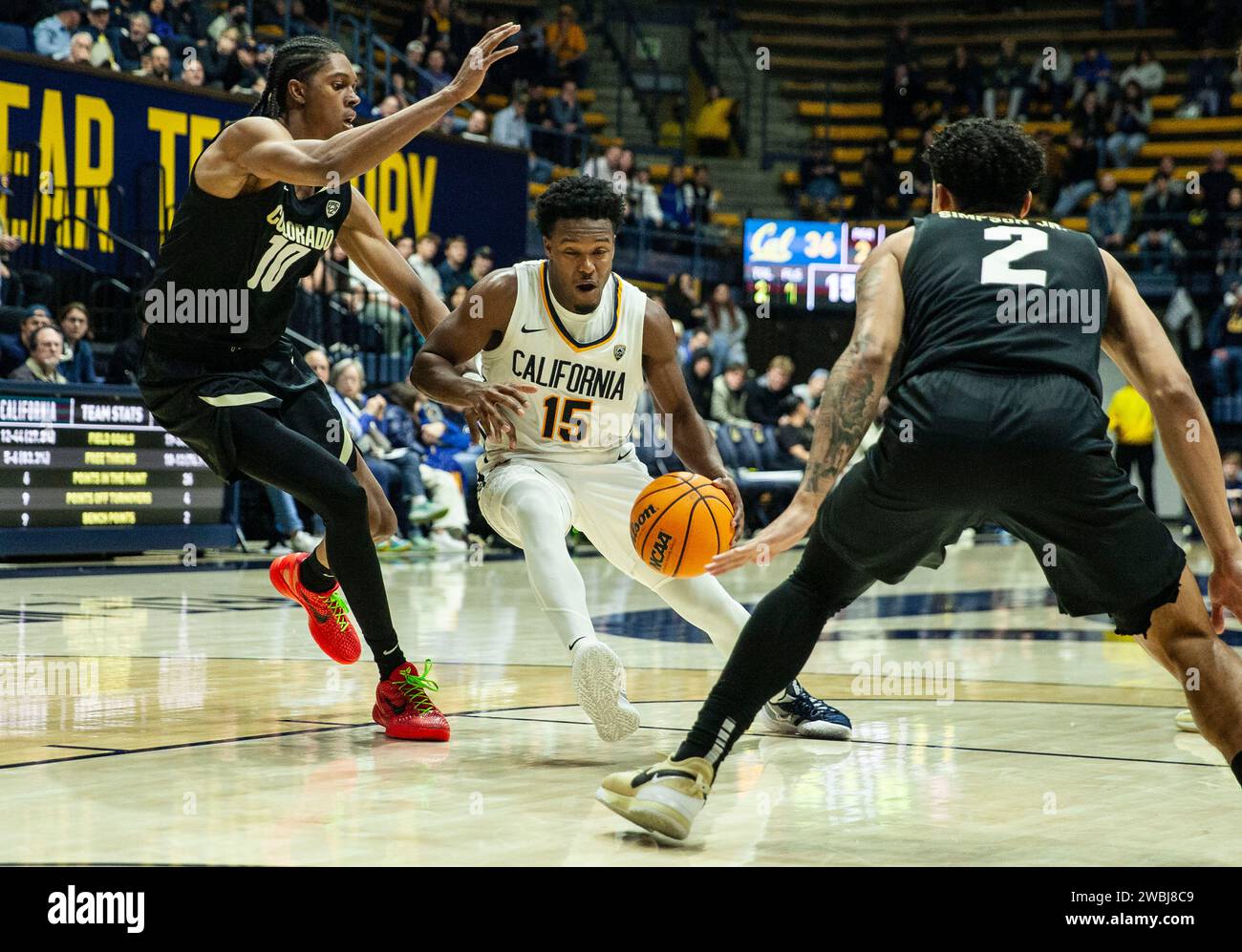 2024 0288 jpg hi-res stock photography and images - Alamy