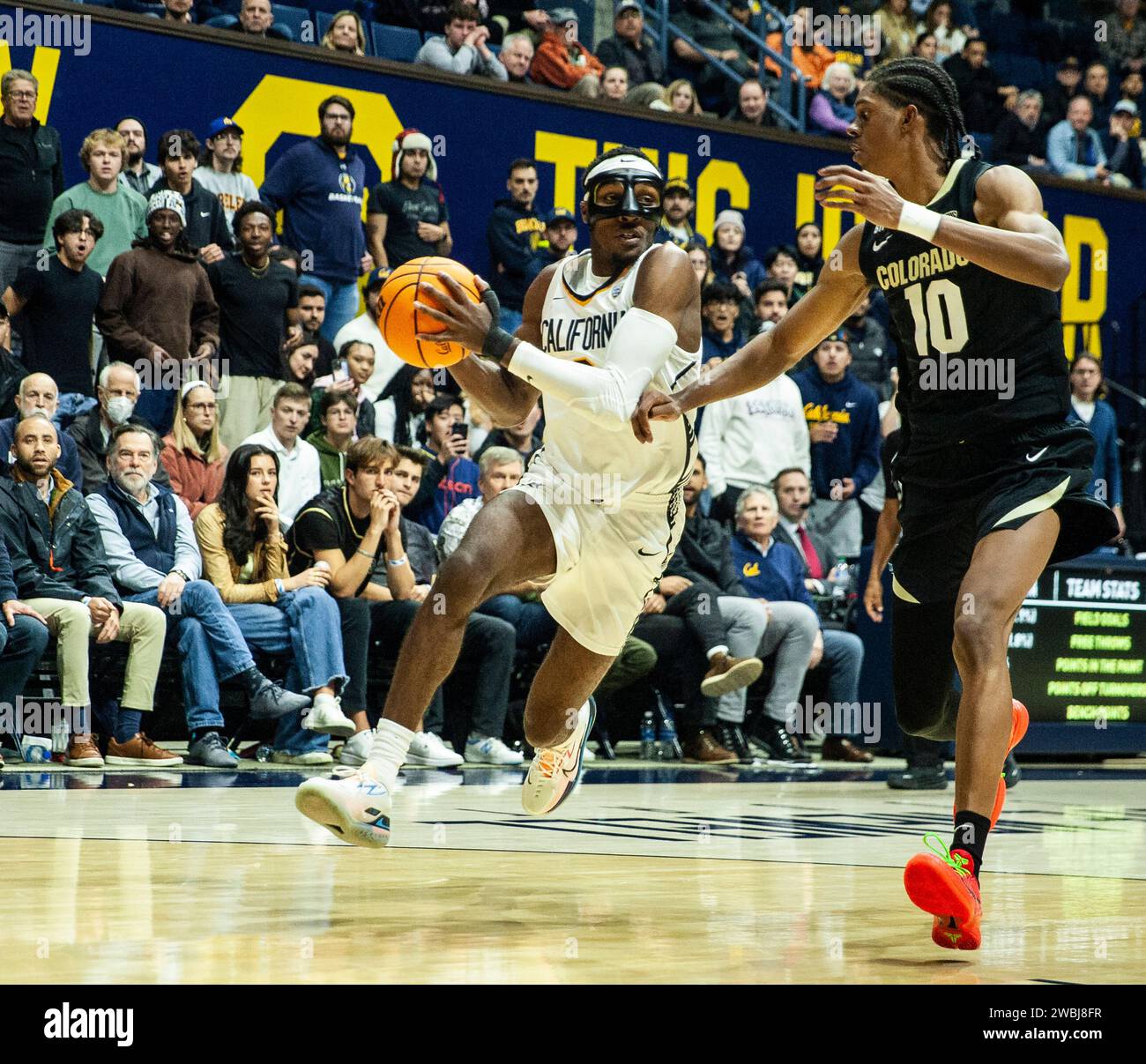 2024 0441 jpg hi-res stock photography and images - Alamy