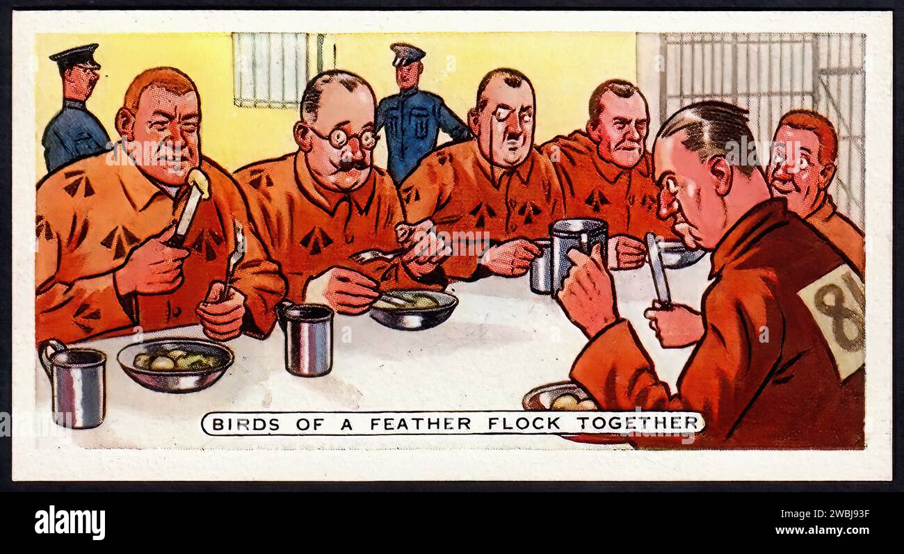 Birds of a Feather Flock Together - Vintage Cigarette Card Illustration ...