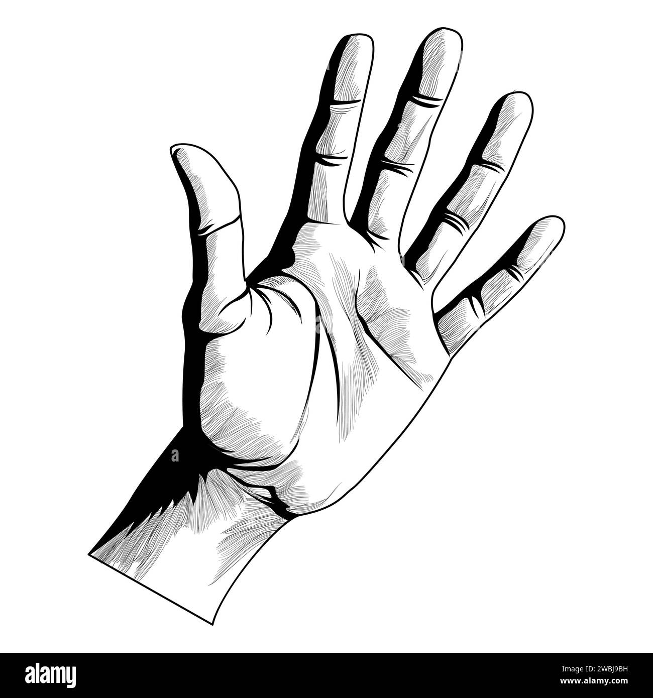 Realistic hand. Black and white hand. Painting with strokes. Fingers ...