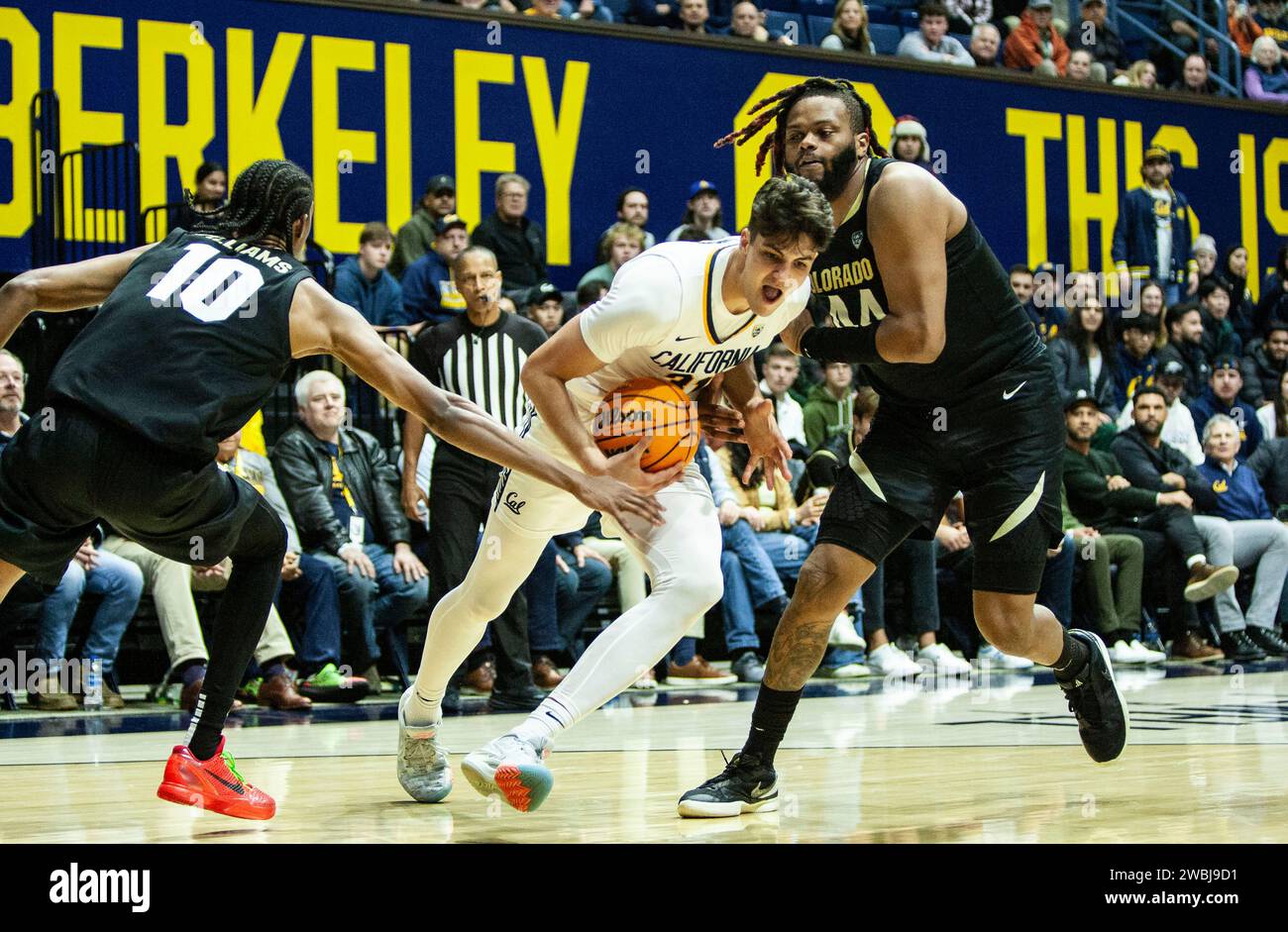 2024 0362 jpg hi-res stock photography and images - Alamy