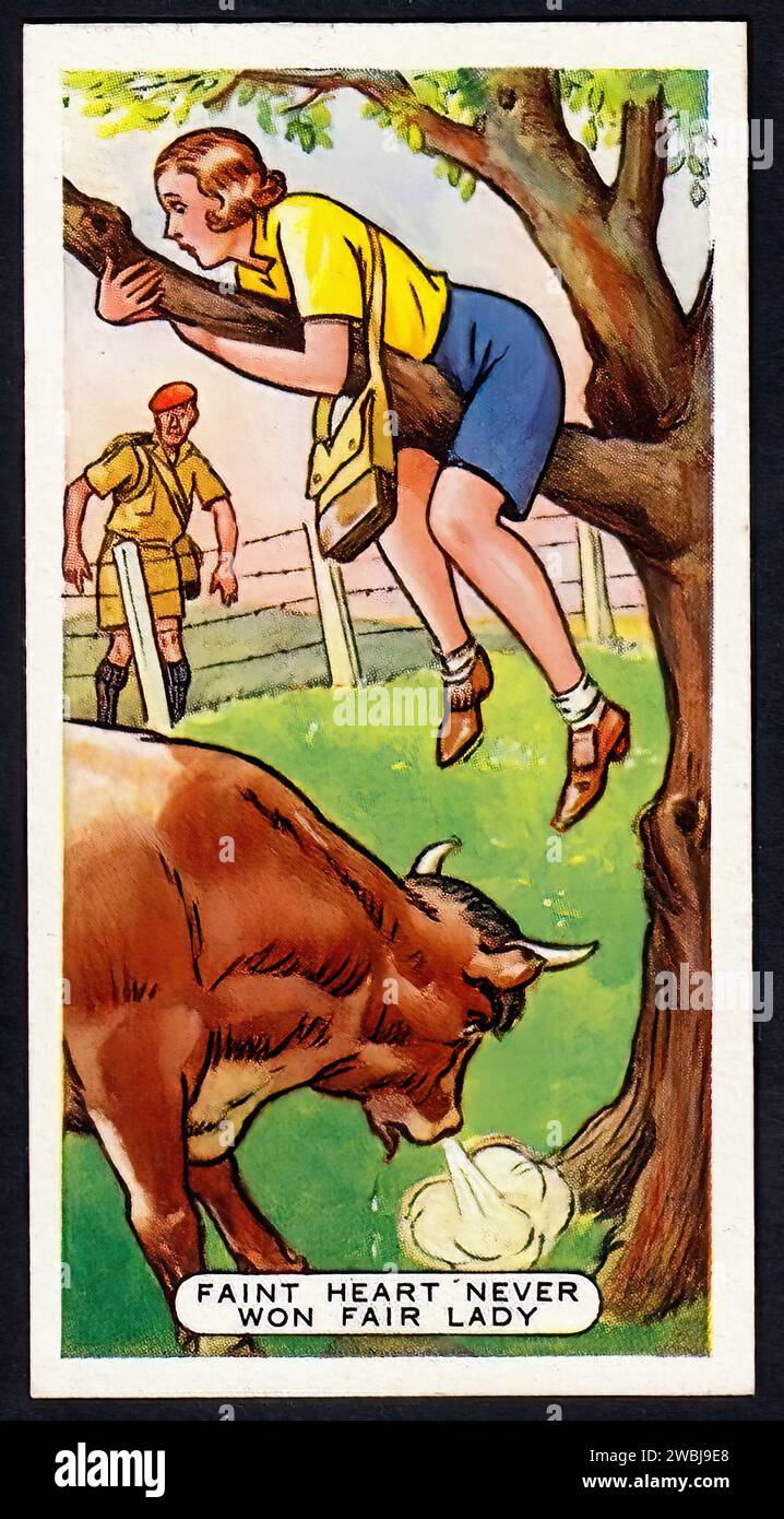 Faint Heart Never Won Fair Lady - Vintage Cigarette Card Illustration ...