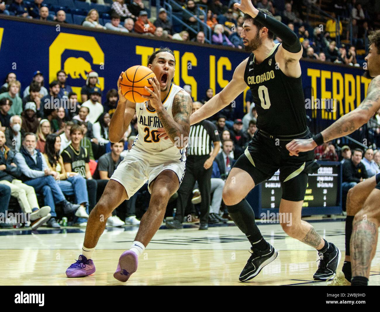 2024 0343 jpg hi-res stock photography and images - Alamy