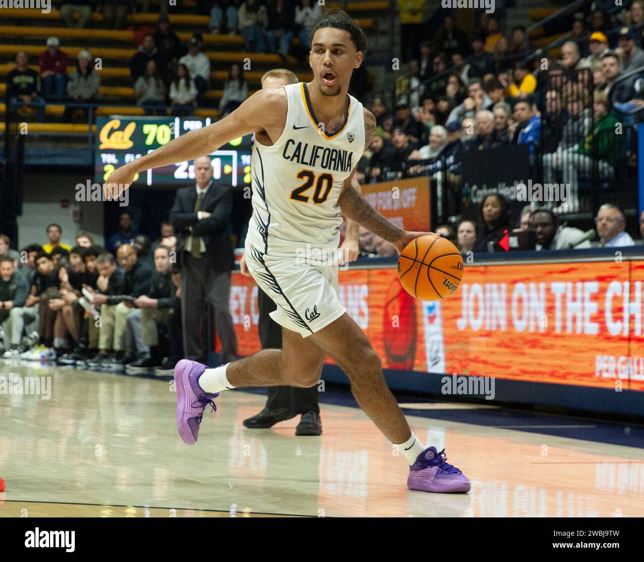 2024 0431 jpg hi-res stock photography and images - Alamy