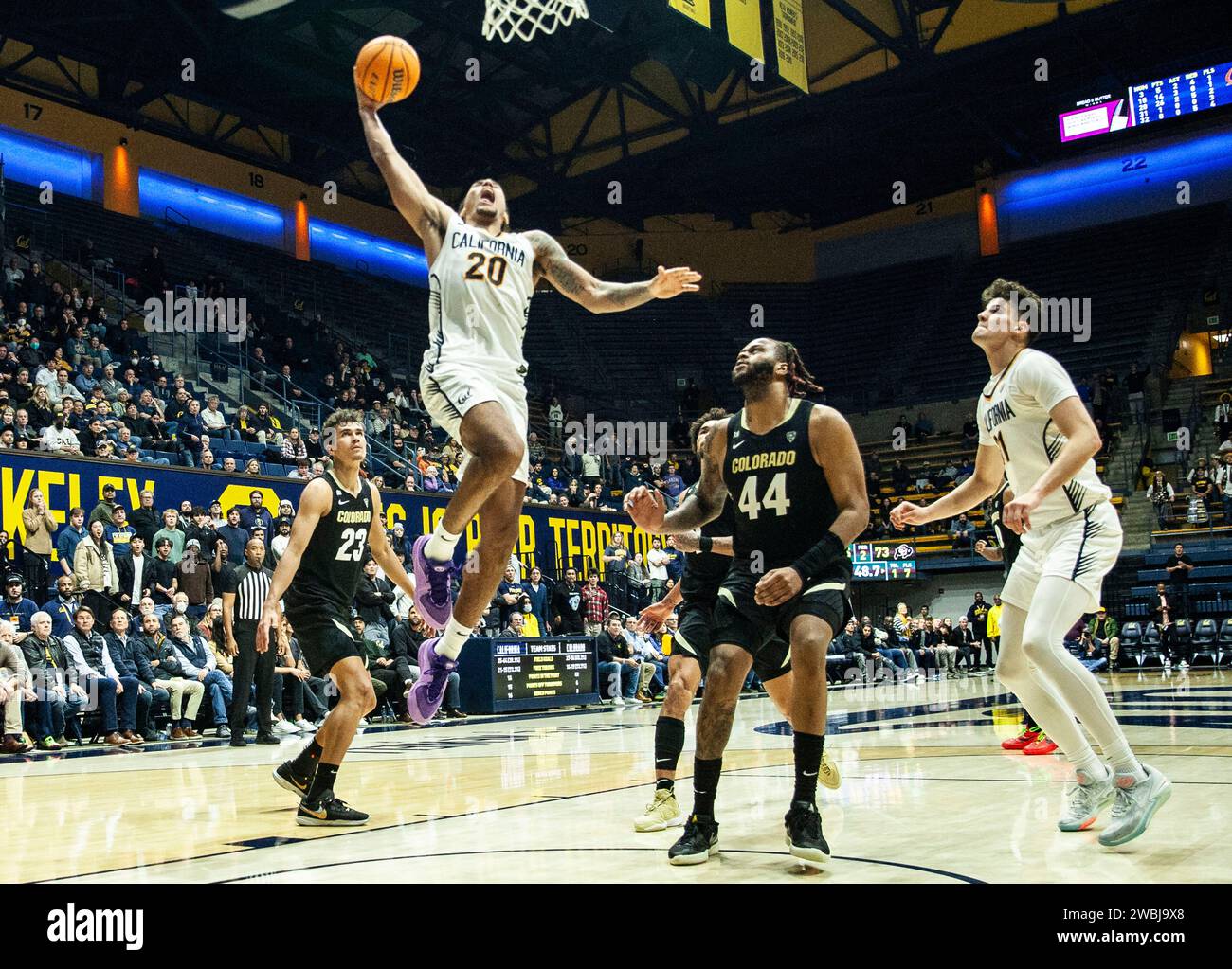Haas Pavilion Berkeley Calif, USA. 10th Jan, 2024. CA U.S.A. California ...