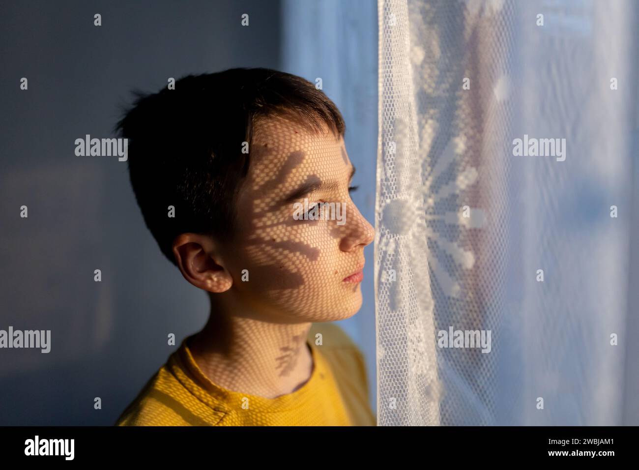 Artistic portrait of a teenage boy, standing next to a window, shadows ...