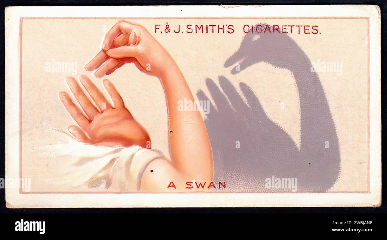 Shadowgraphs, a Swan - Vintage Cigarette Card Illustration Stock Photo ...