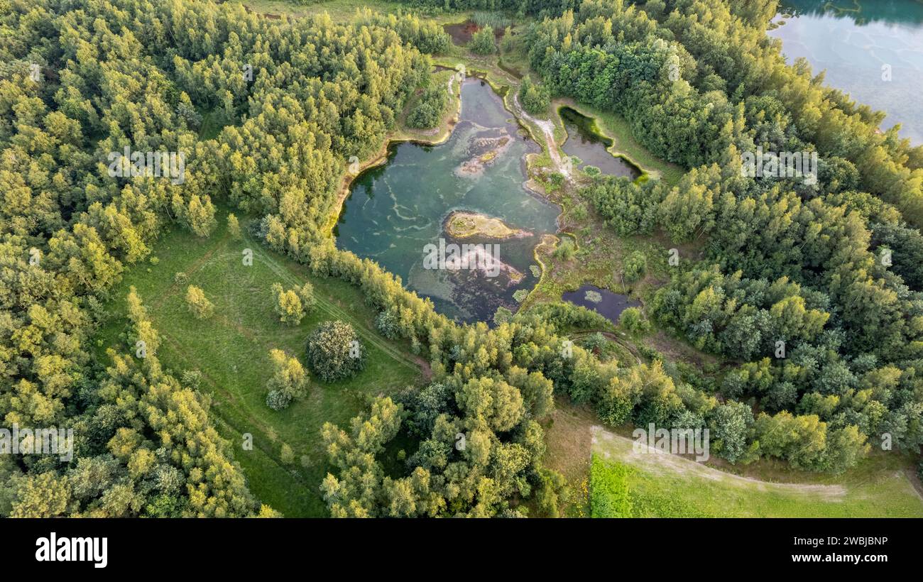 This aerial photograph depicts a captivating woodland scene with a ...