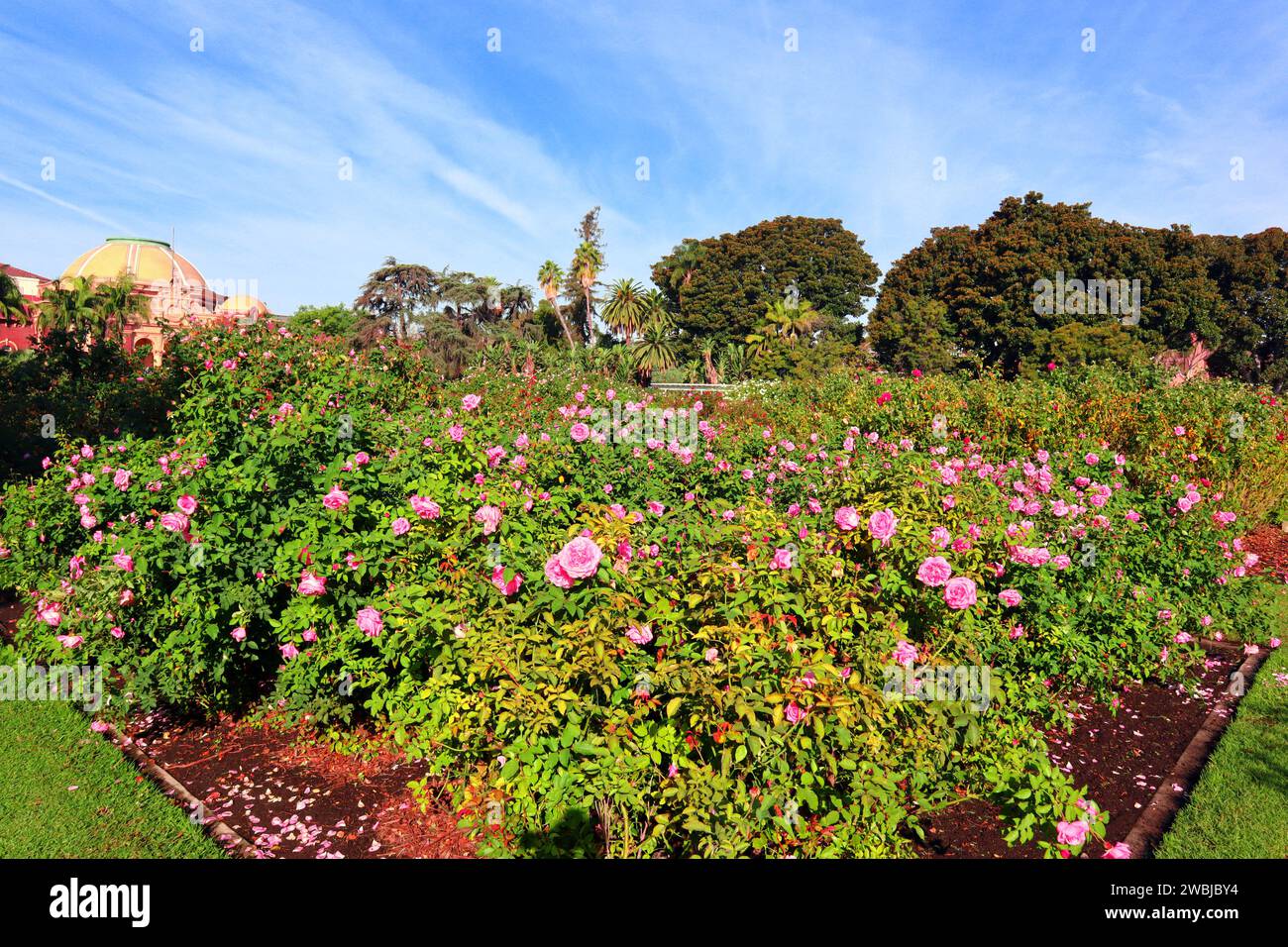 Los Angeles, California: Exposition Park Rose Garden at 701 State Dr ...