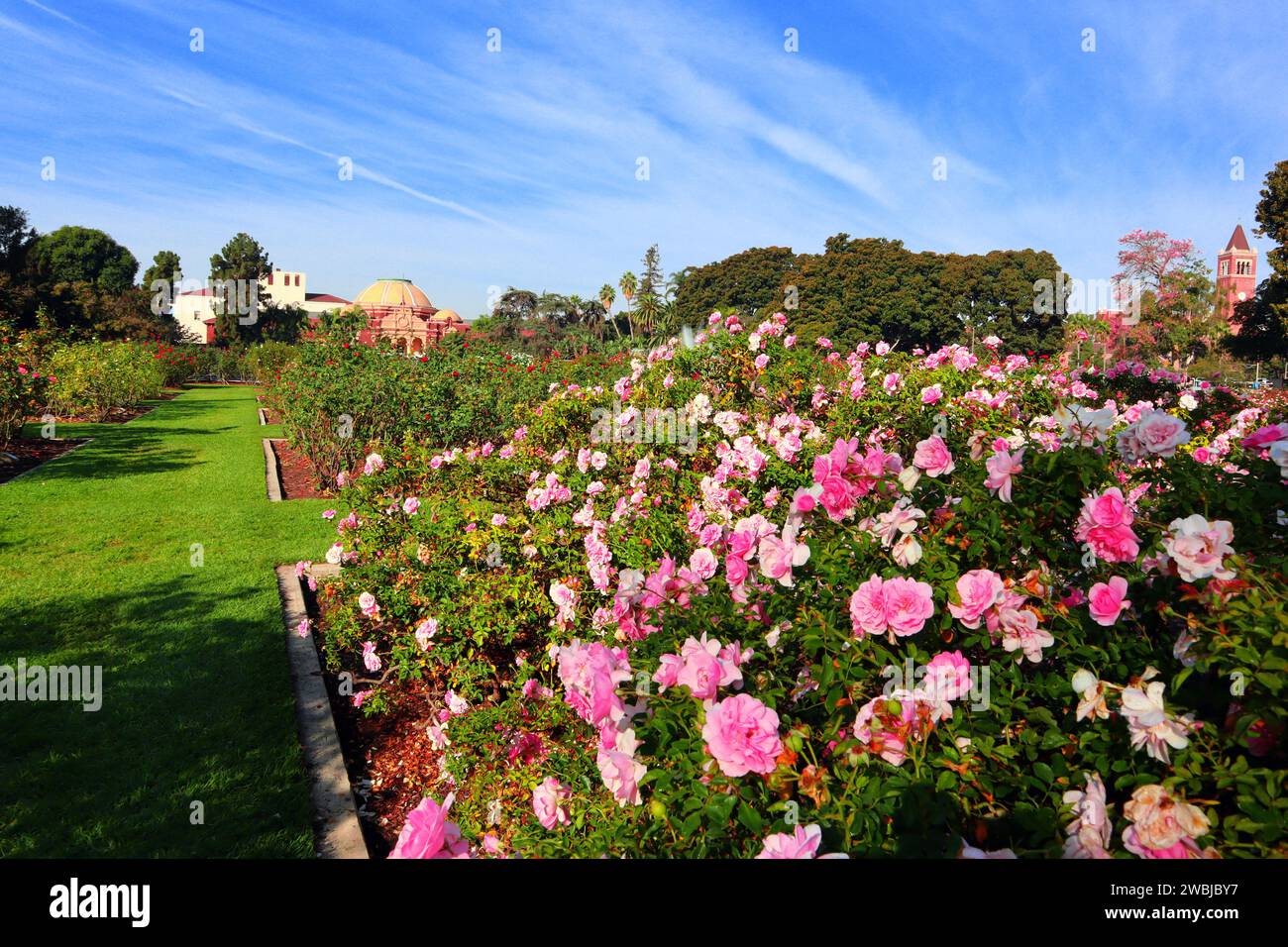 Los Angeles, California: Exposition Park Rose Garden at 701 State Dr ...