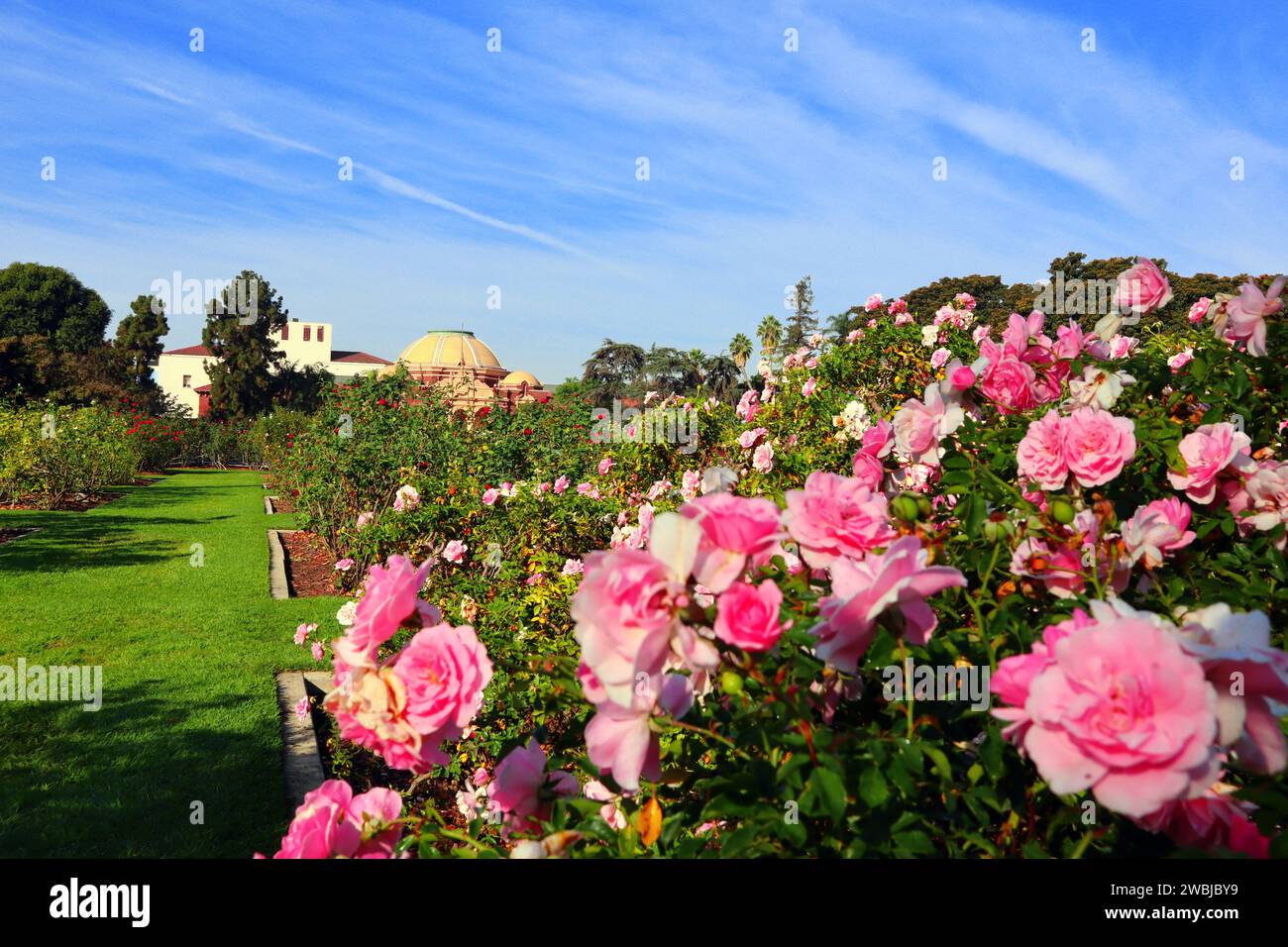 Los Angeles, California: Exposition Park Rose Garden at 701 State Dr ...